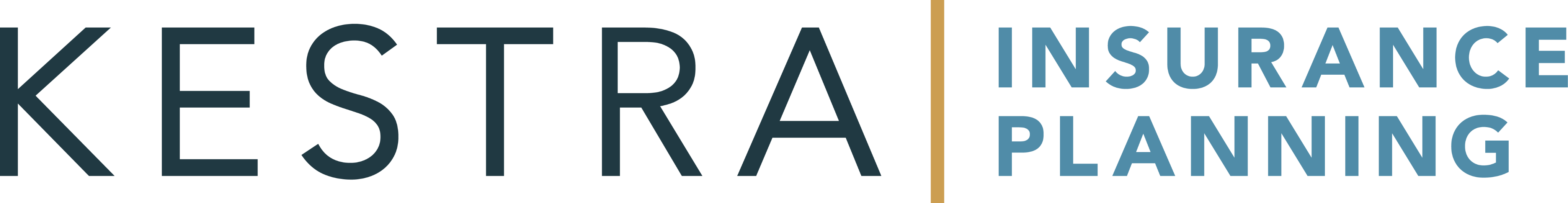 Kestra Insurance Planning | Team